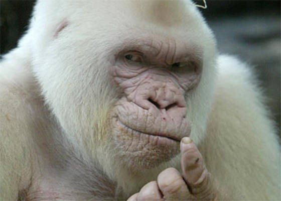 Em programa de TV e redes sociais, MV Bill fala sobre a "Semana do ...